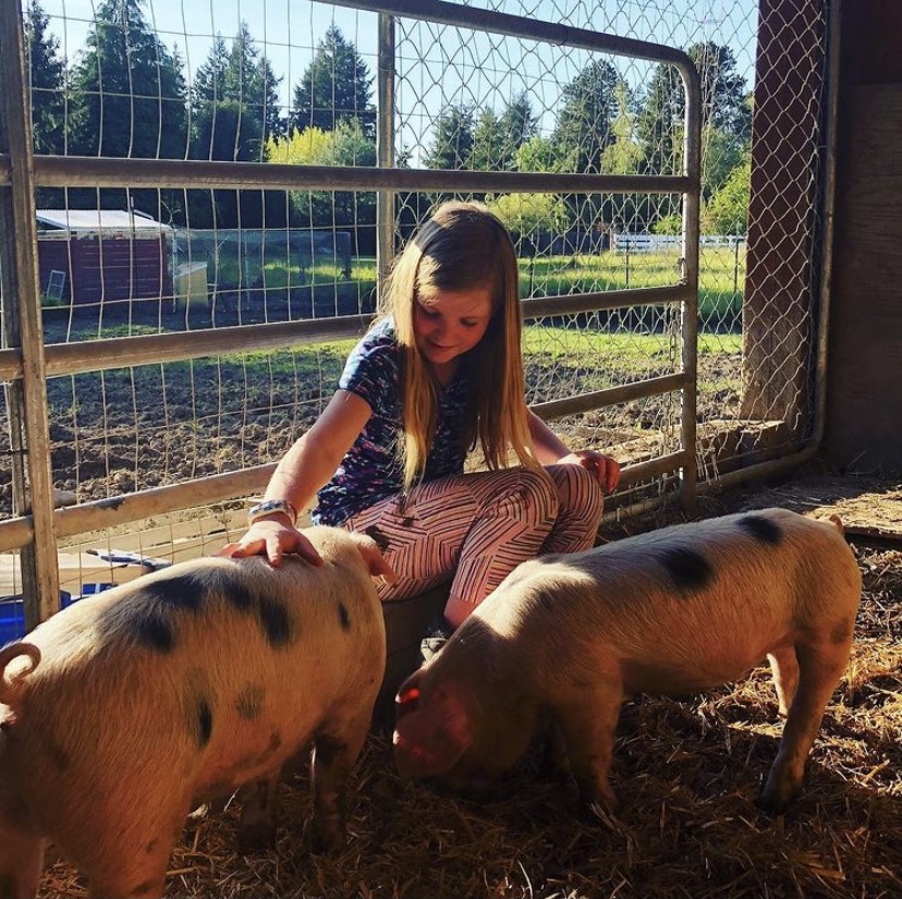 Here Piggy Piggy – WillaBella Farm