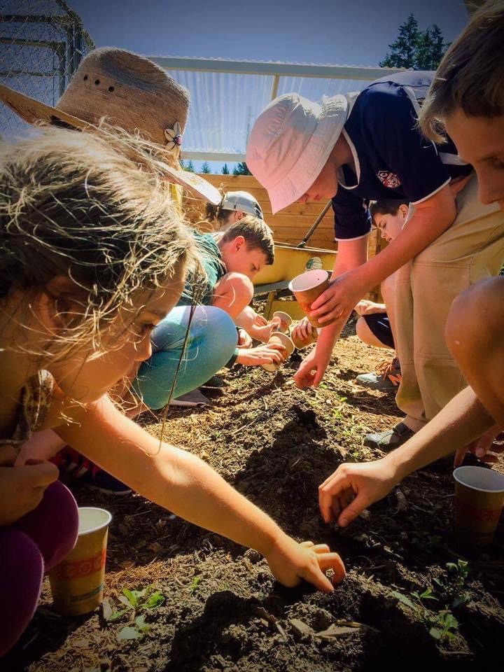 WillaBella Farm Science Camps Summer 2021 – WillaBella Farm
